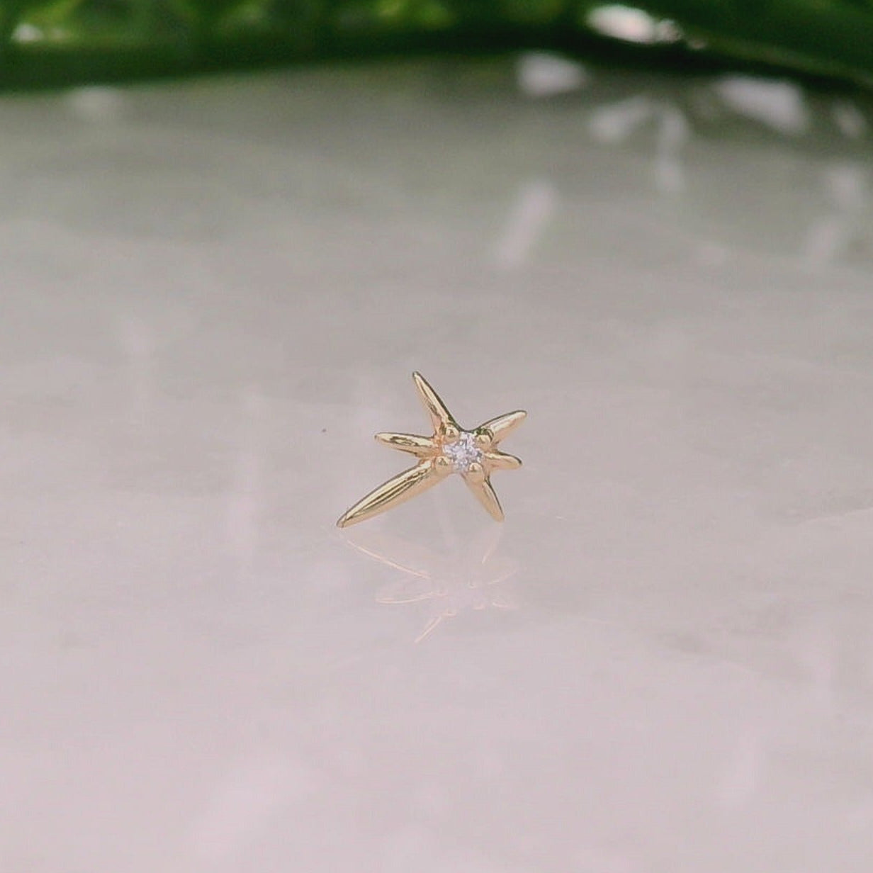 Star – Ivy Piercing Studios