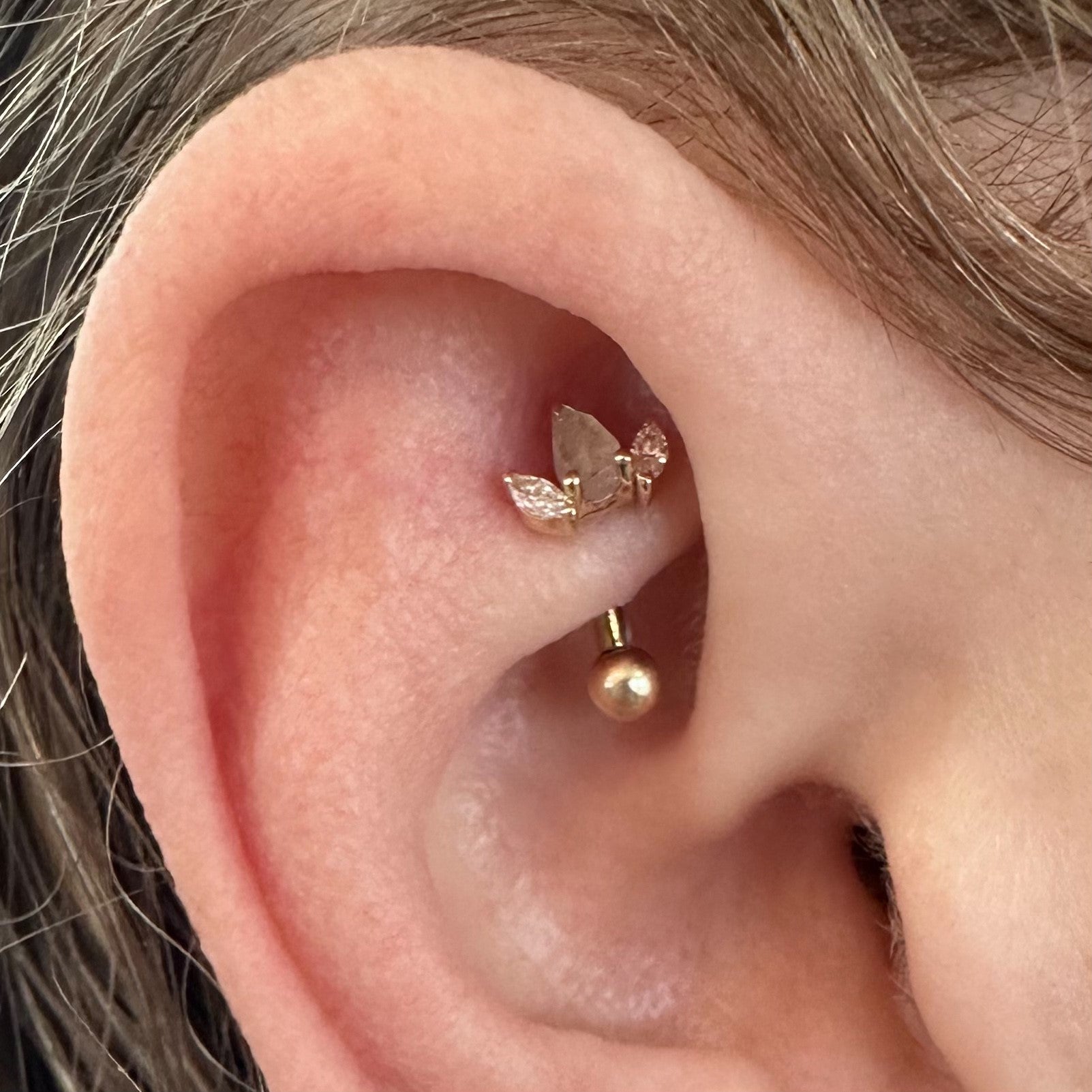 Rook Jewelry - Curves – Ivy Piercing Studios