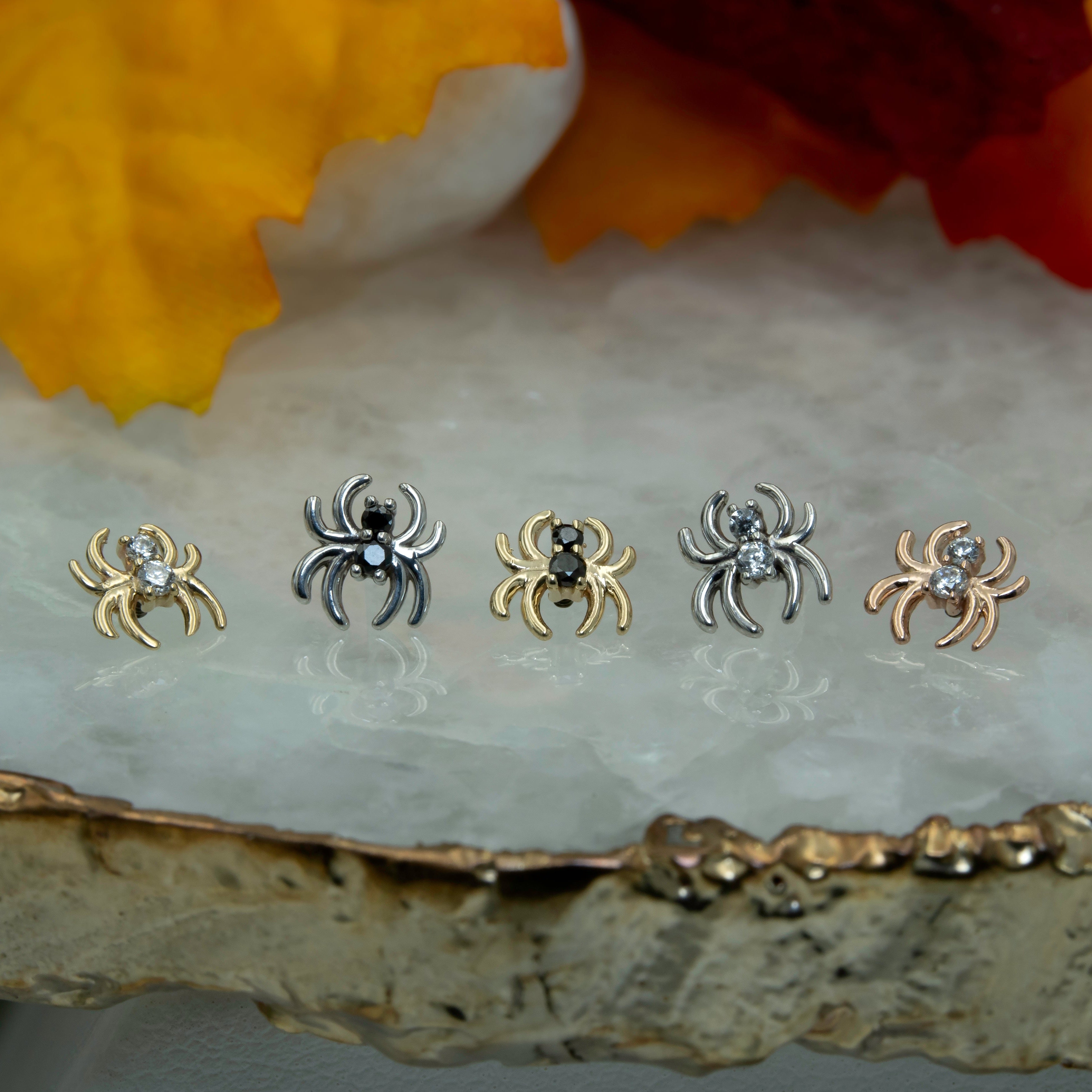 Venomous Spider – Ivy Piercing Studios