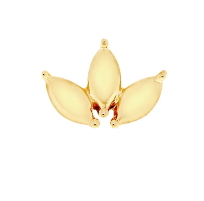 Sol Fan – Ivy Piercing Studios